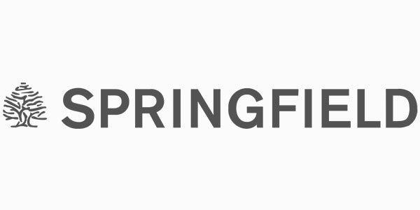 Trabajar en Springfield - Envía Tu Currículum o CV | Blog de Jobomas